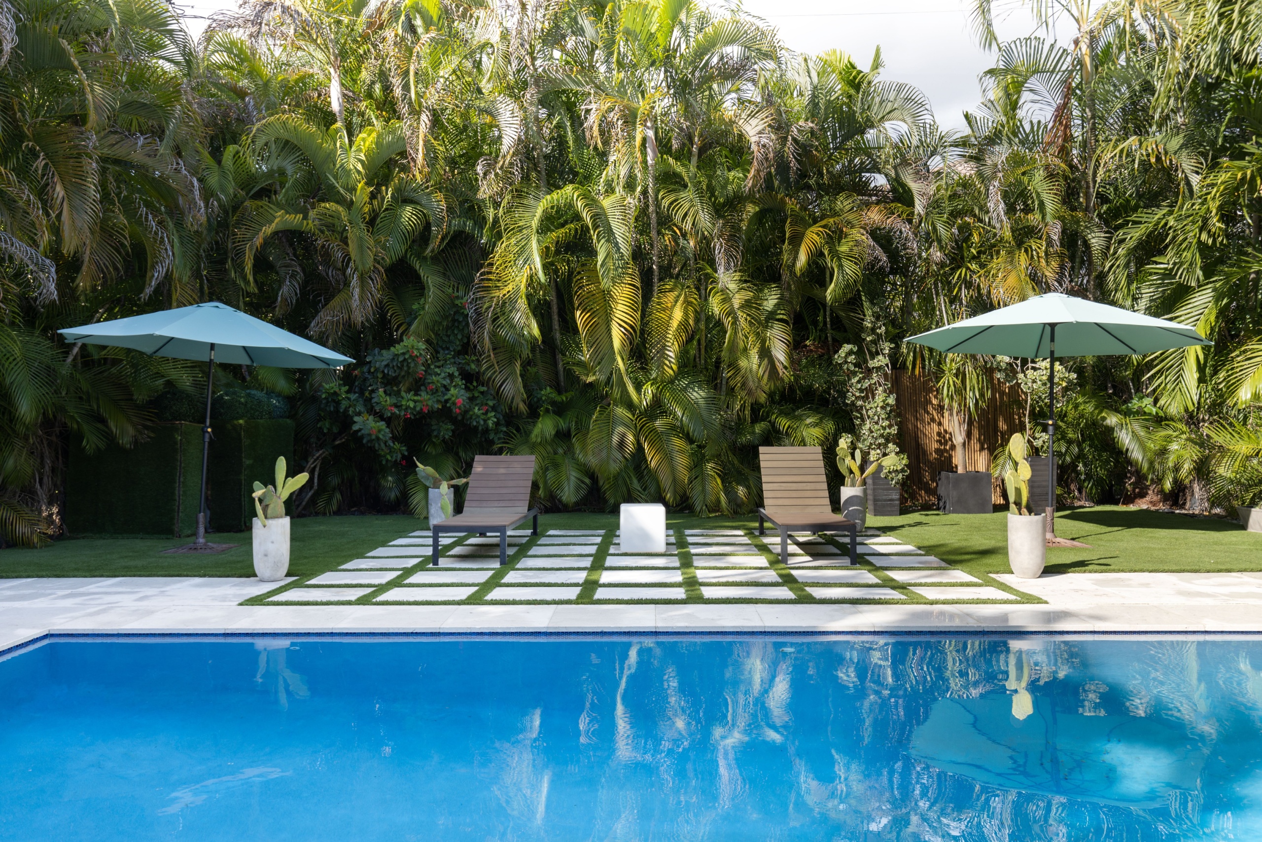 How to Create a Tropical Oasis at Home: Design and Planting Tips